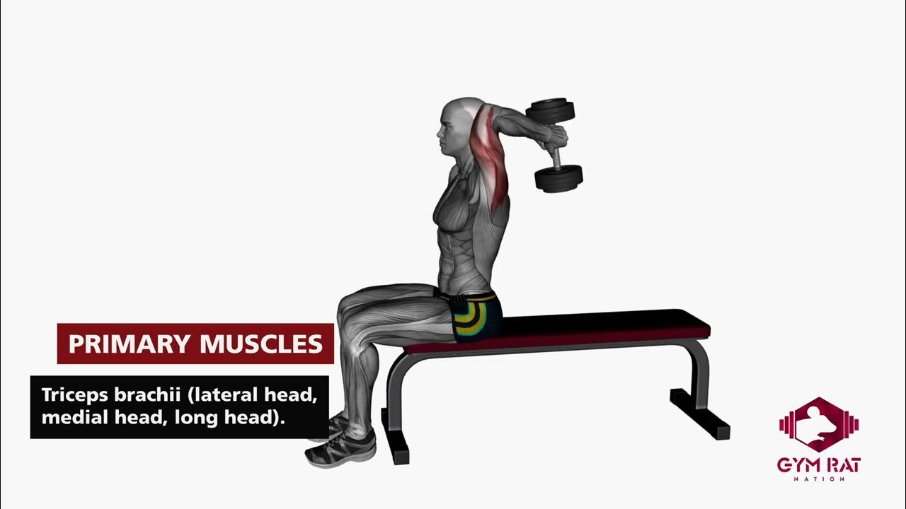 Dumbell Overhead Extension Seated 4k Youtube