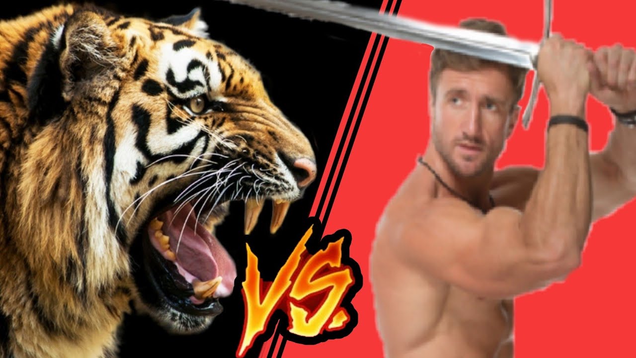 Tiger Vs Human |Who Will Win? |Power Comparison|HWcreatze - YouTube