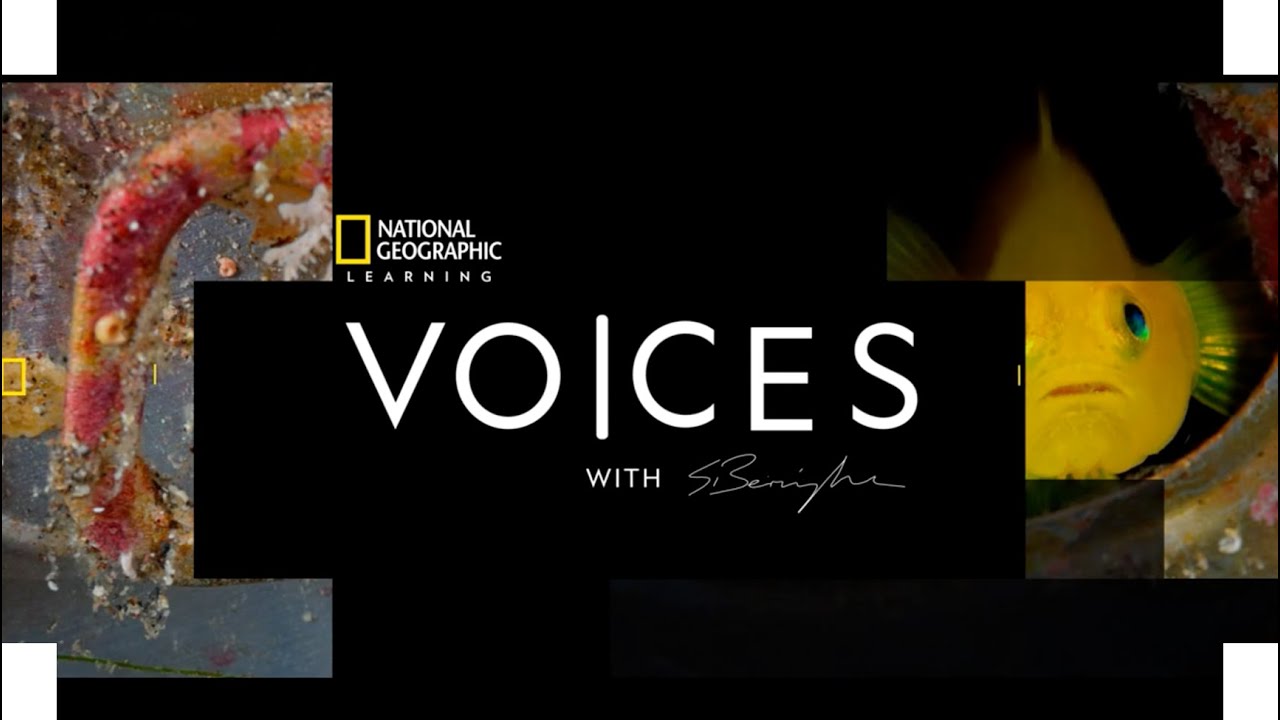 Voices, with Executive Editor Sean Bermingham - YouTube