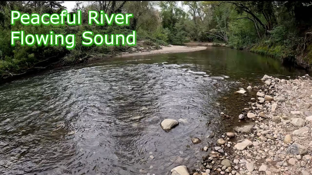Peaceful River Flowing Sound | Gentle River | Relaxing Nature Sounds ...