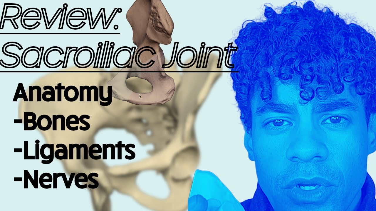 Quick Review: Sacroiliac Joint Anatomy - YouTube
