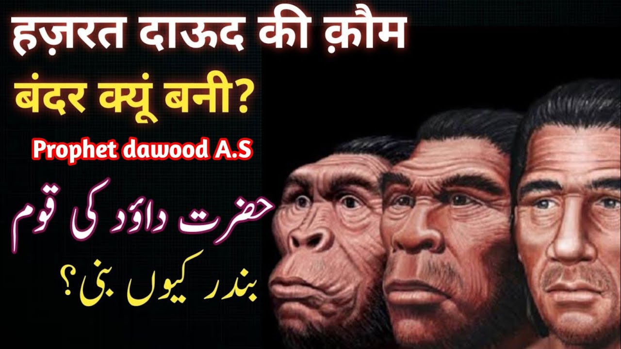 Hazrat Dawood Prophet David | hazrat daood ki qoam | Prophet dawood a.s ...