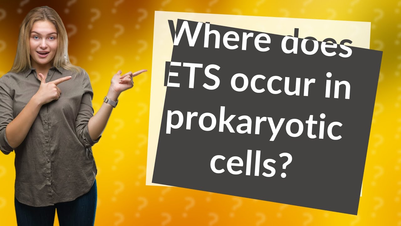 Where does ETS occur in prokaryotic cells? - YouTube