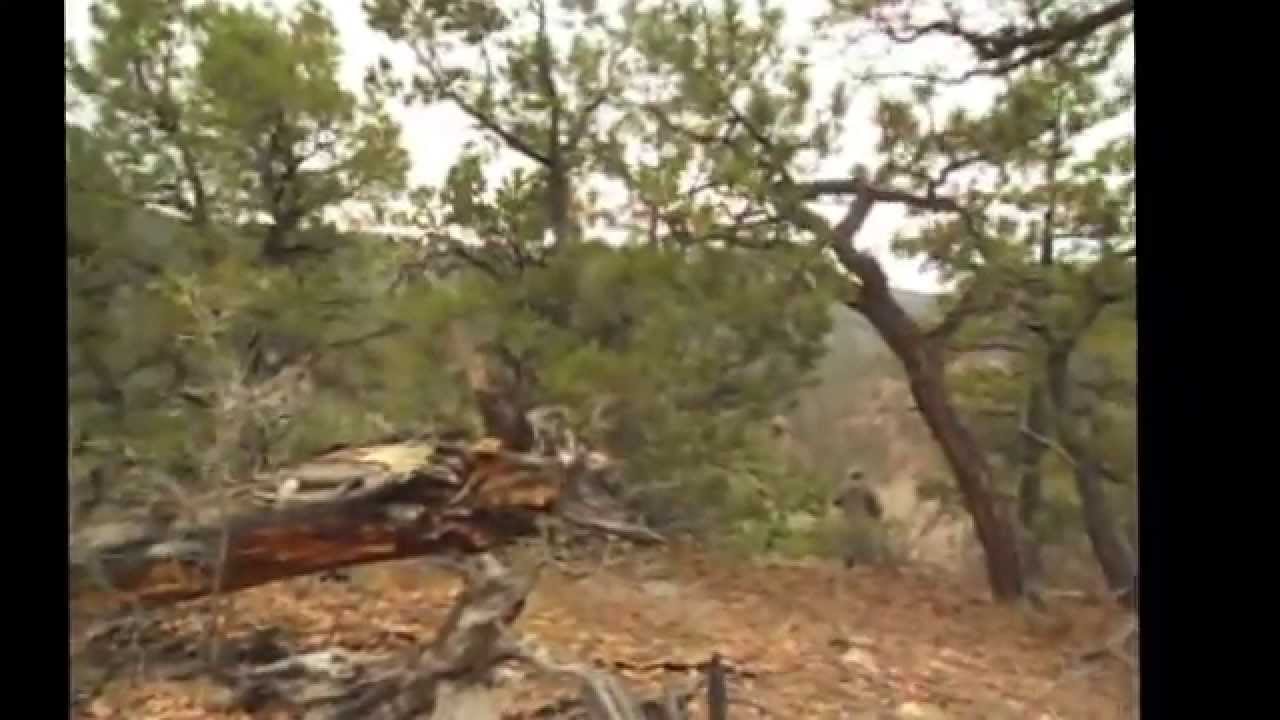 Chuska Mountain 2013 - YouTube
