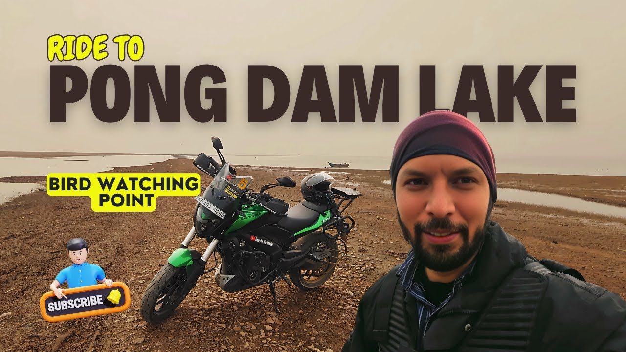 What's the BEST Time to Visit Pong Dam WILDLIFE Sanctuary? - YouTube
