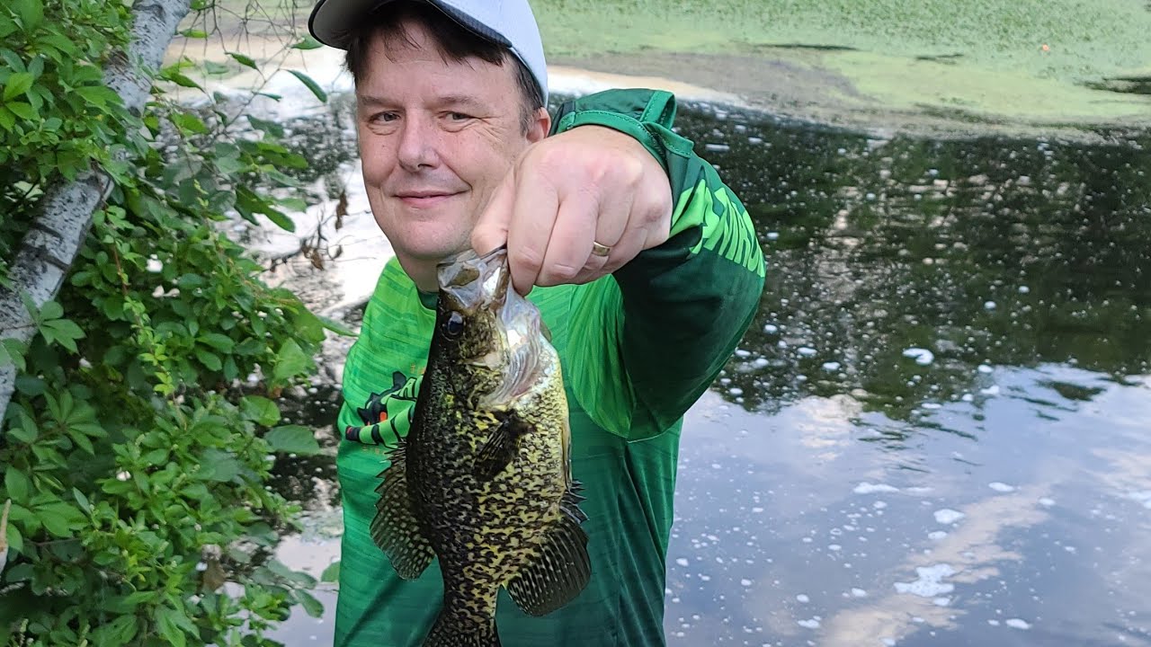 Pond fishing for nice Bass and Crappie - YouTube