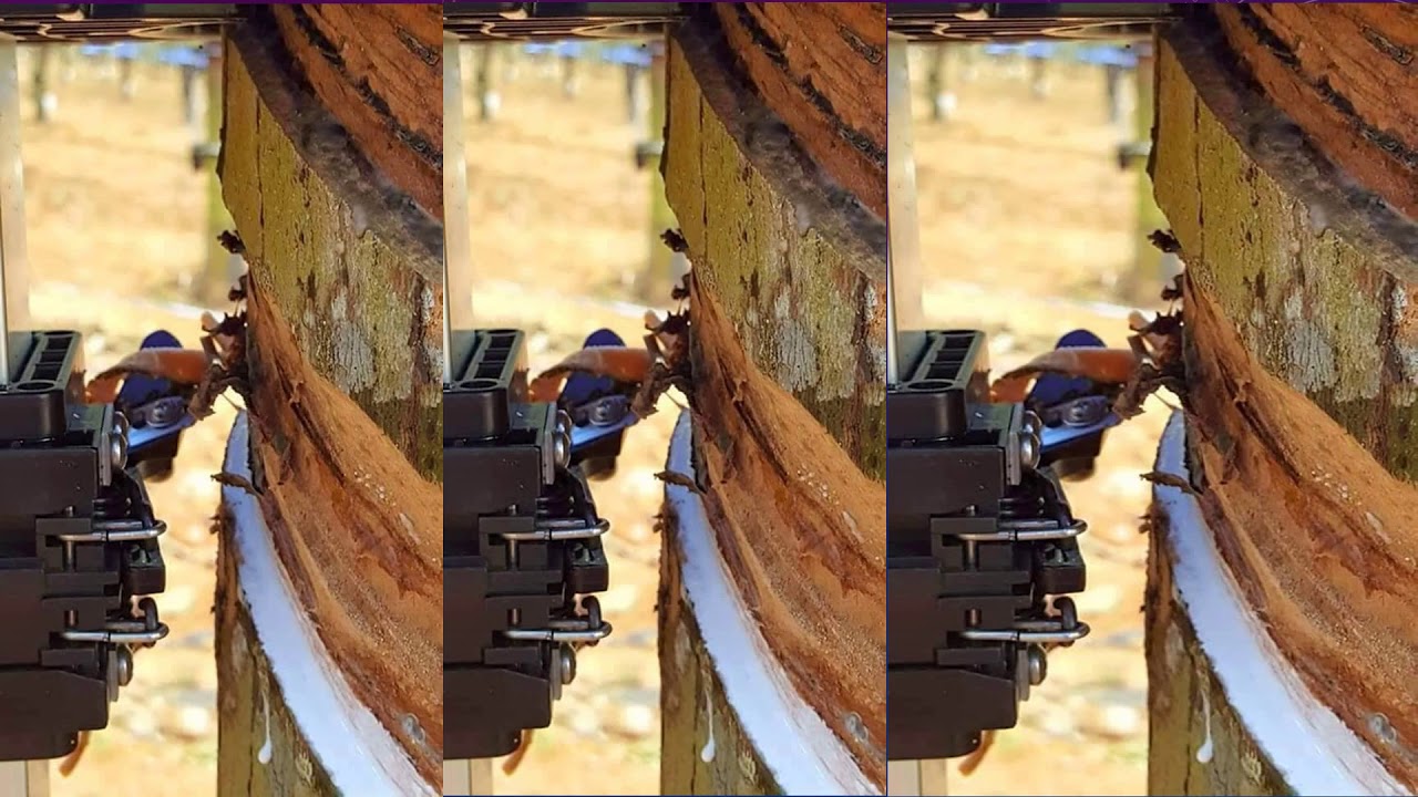 Automatic Rubber tapping machine - YouTube