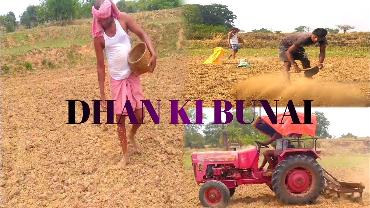 DHAN KI BUNAI - YouTube