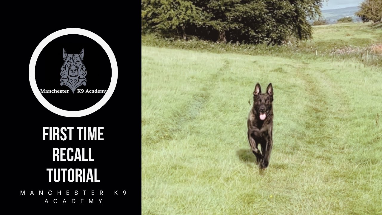 First Time Recall Tutorial - YouTube