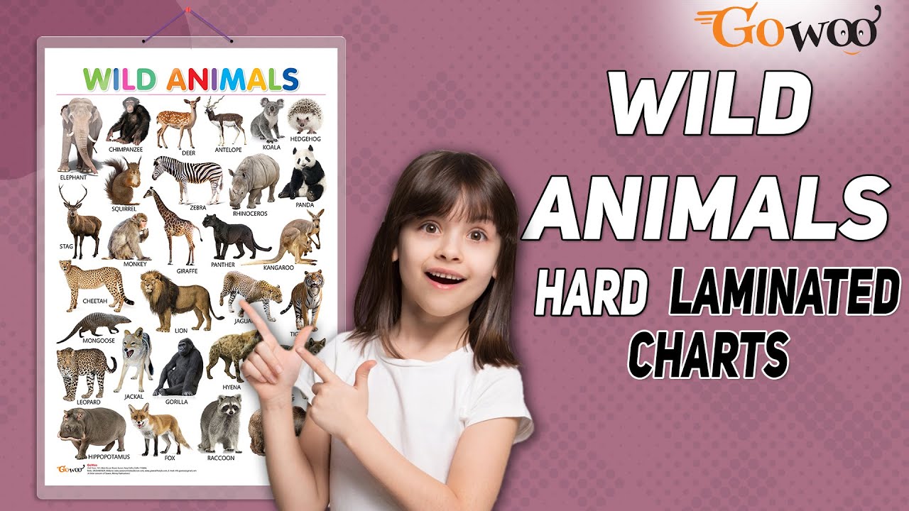 Wild Animal Hard Laminated Charts by Gowoo | Educational Charts | Early ...