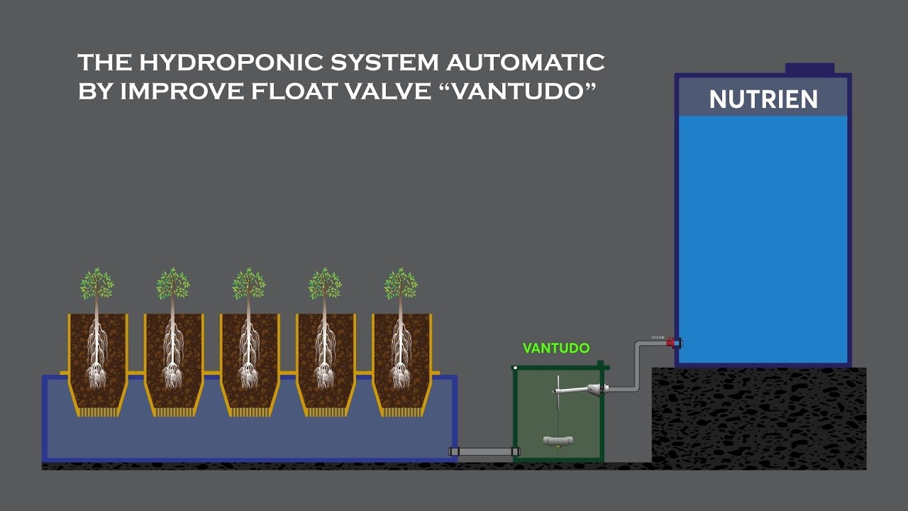 The Hydroponic system automatic by improve float Valve_VANTUDO - YouTube