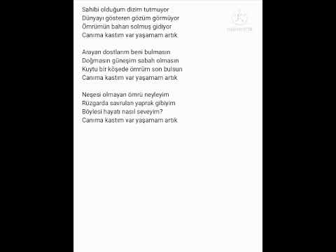 Ersan Er - Yaşamam Artık (Seslendirme: Efe Burkay Kadayıfçı)