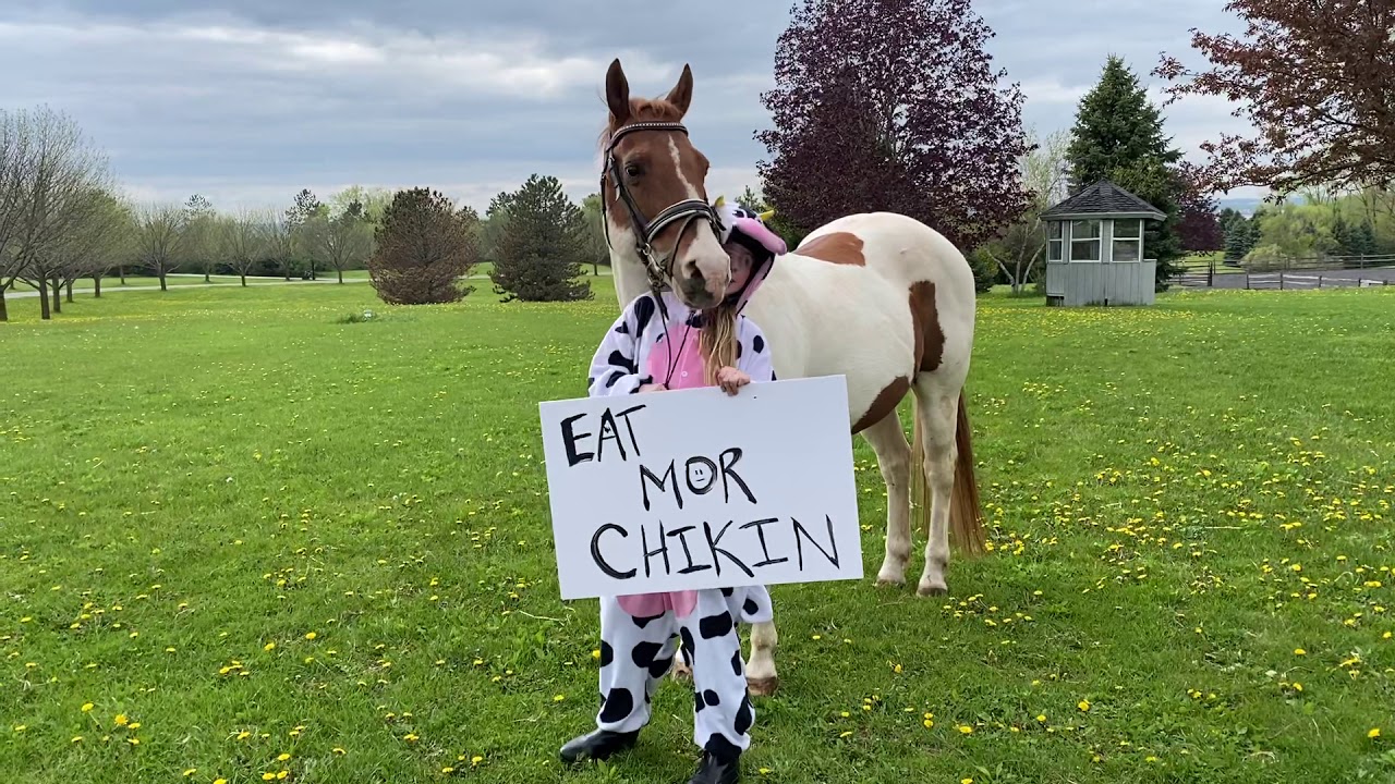 Haley Blevins and Hawkeye May 22, 2020 novelty costume - YouTube