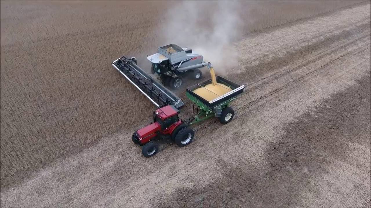 Gleaner R76 North Dakota Soybean Harvest - YouTube