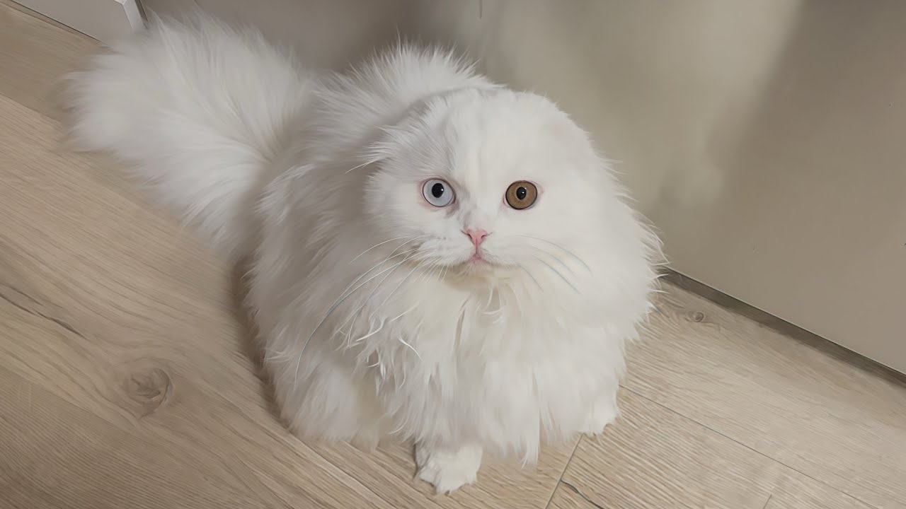 Little Lumi Is Showing Signs Of Chin Acne - YouTube