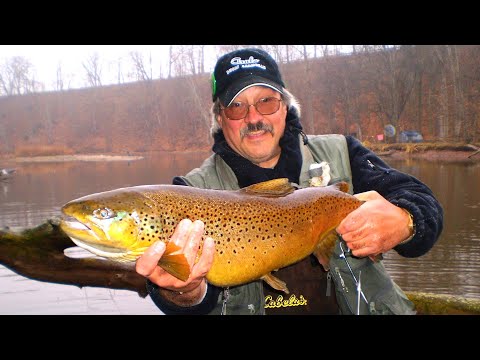 CH Best Fishing Days 1
