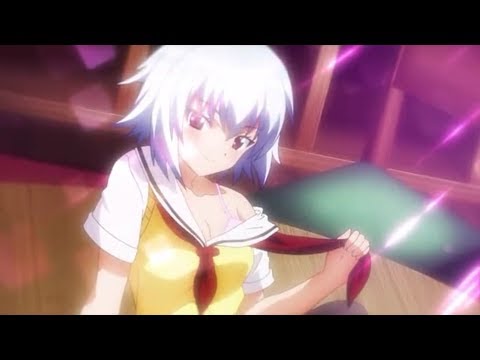 Ben-To》AMV《 - My Bentō -