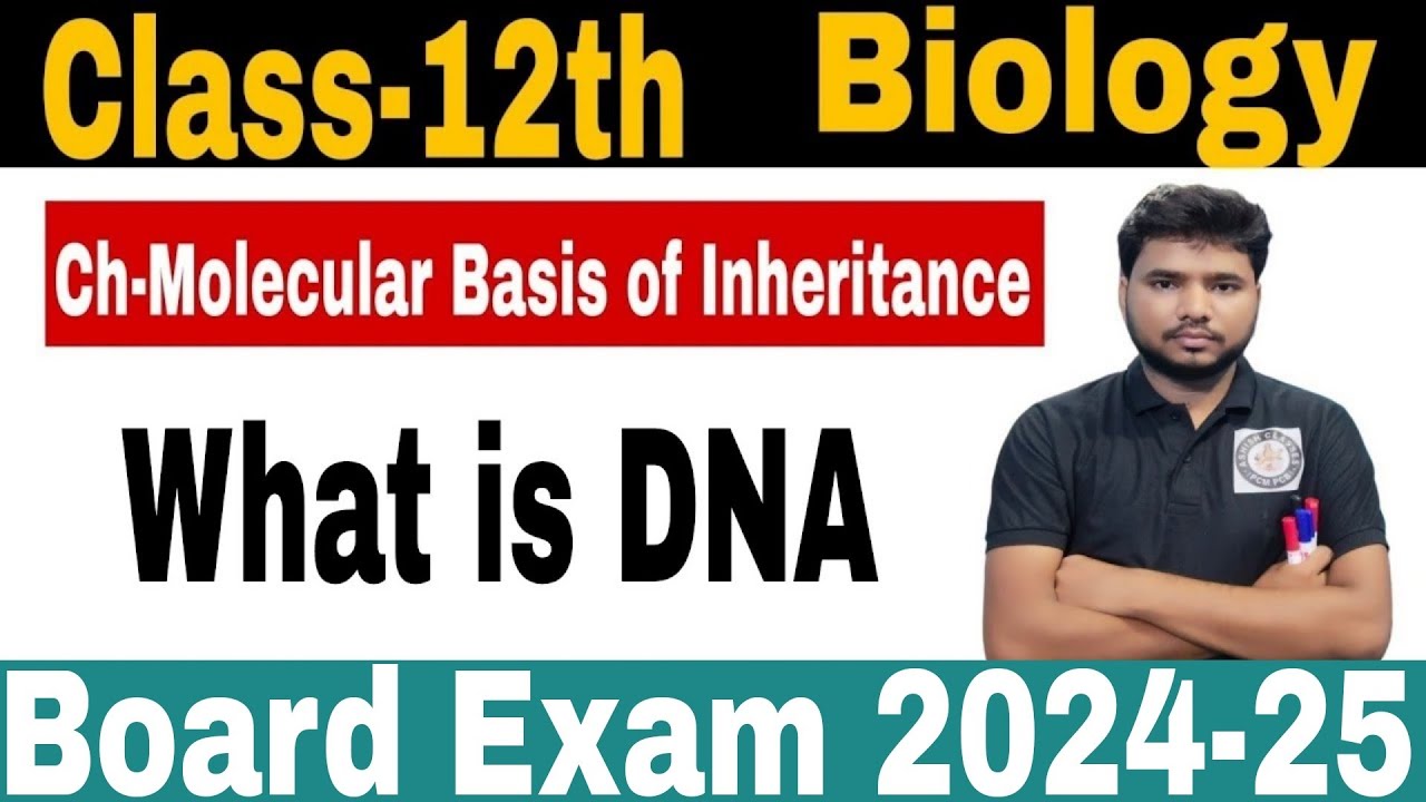 What is DNA|| DNA Ch- molecular Basis of inheritance || what is DNA ...