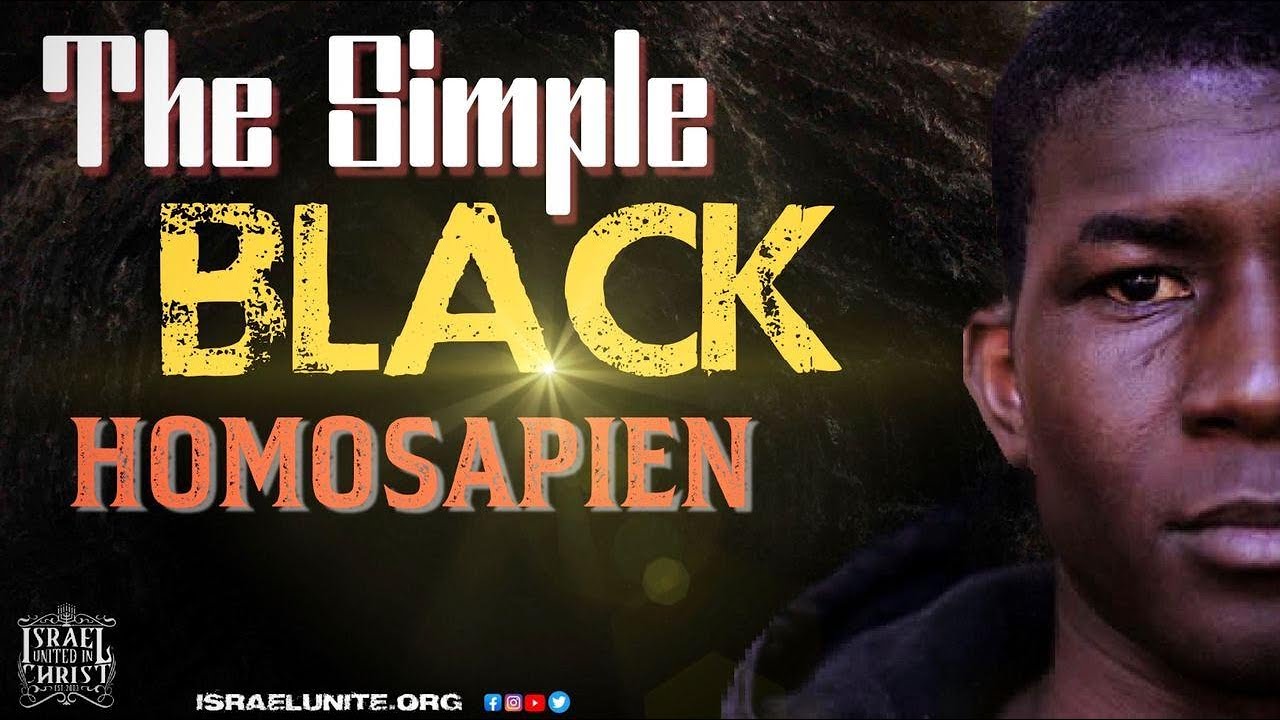 #IUIC | The Simple Black Homosapien - YouTube