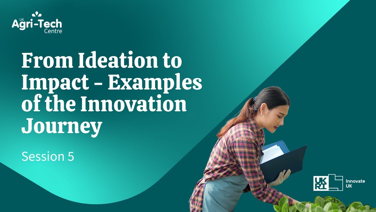 From Ideation to Impact - Examples of the Innovation Journey - YouTube