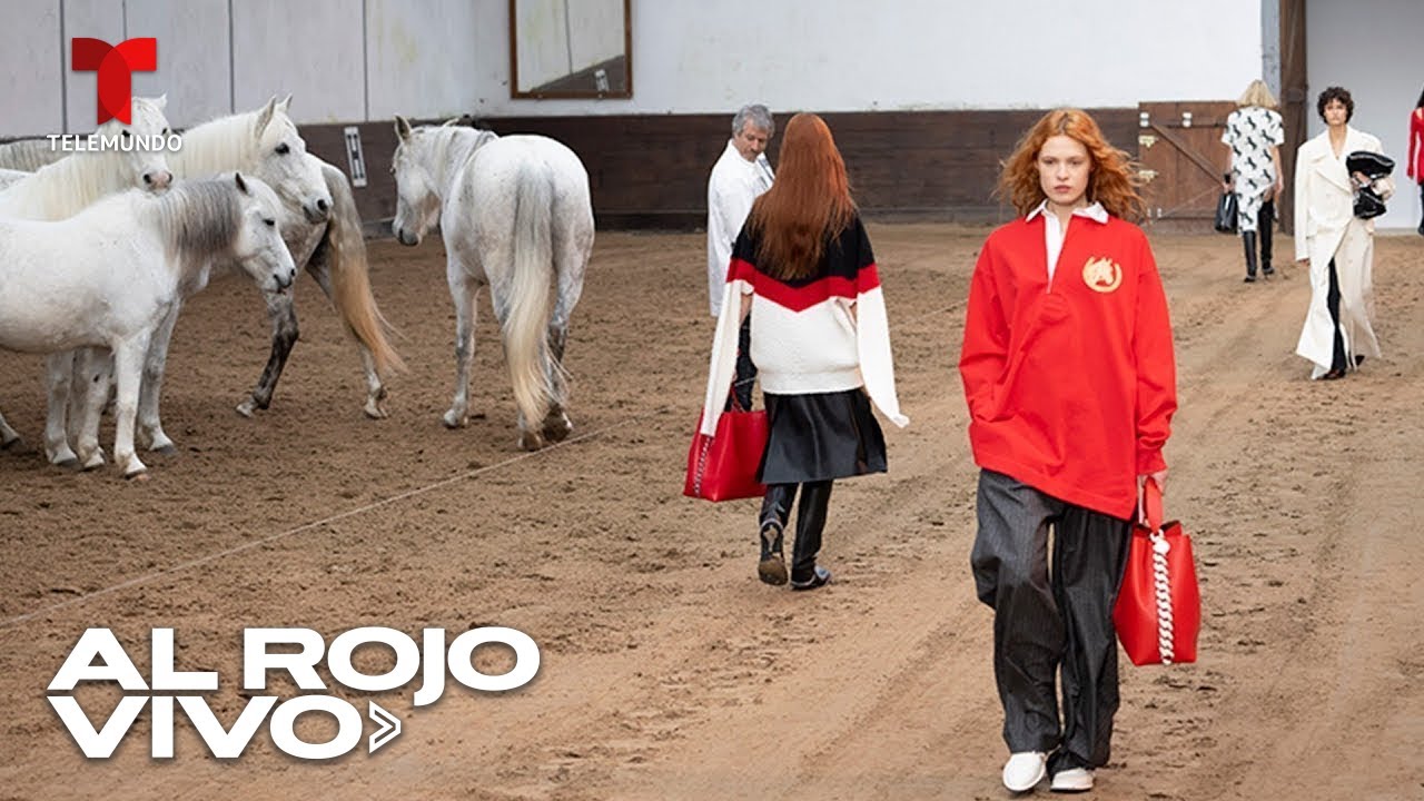 Desfile de moda usa caballos para mandar un poderoso mensaje en Francia ...