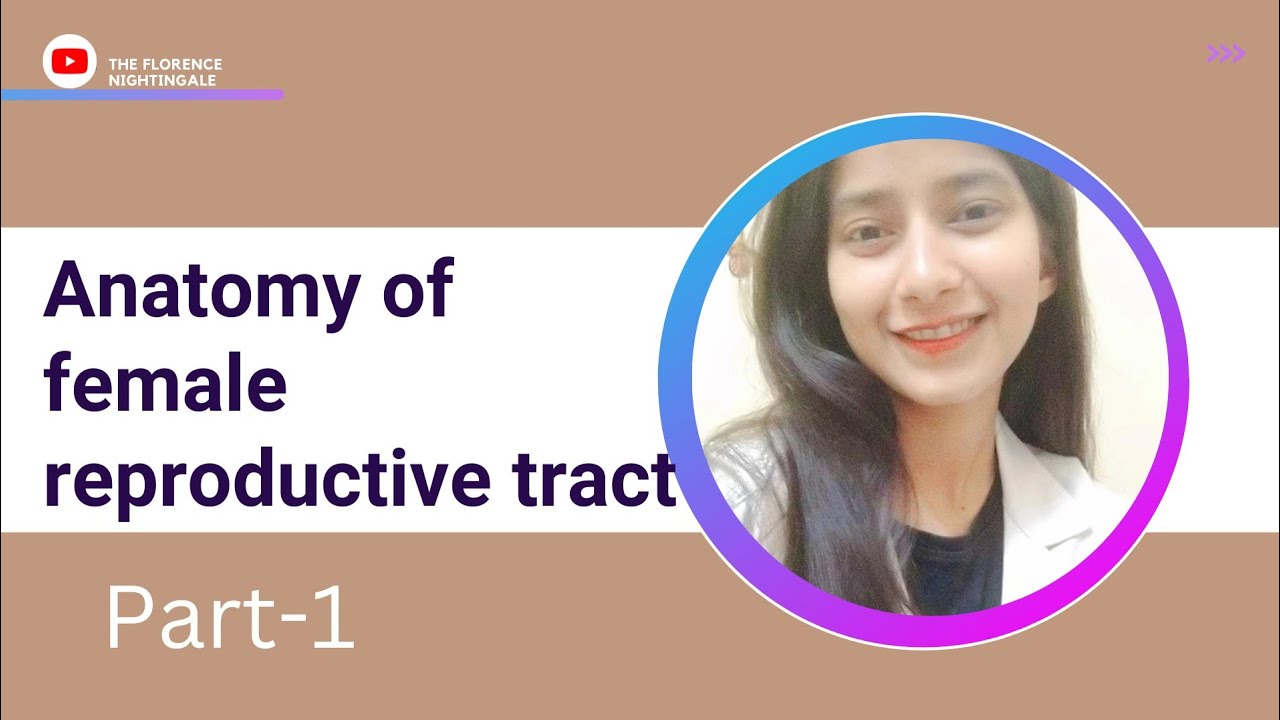 Female reproductive system in Hindi | External genitalia area part-1# ...