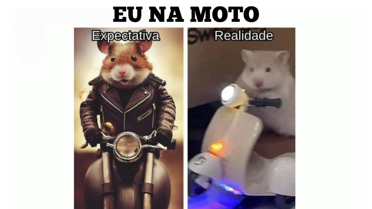 MELHORES MEMES EM IMAGENS - EU NA MOTO - YouTube