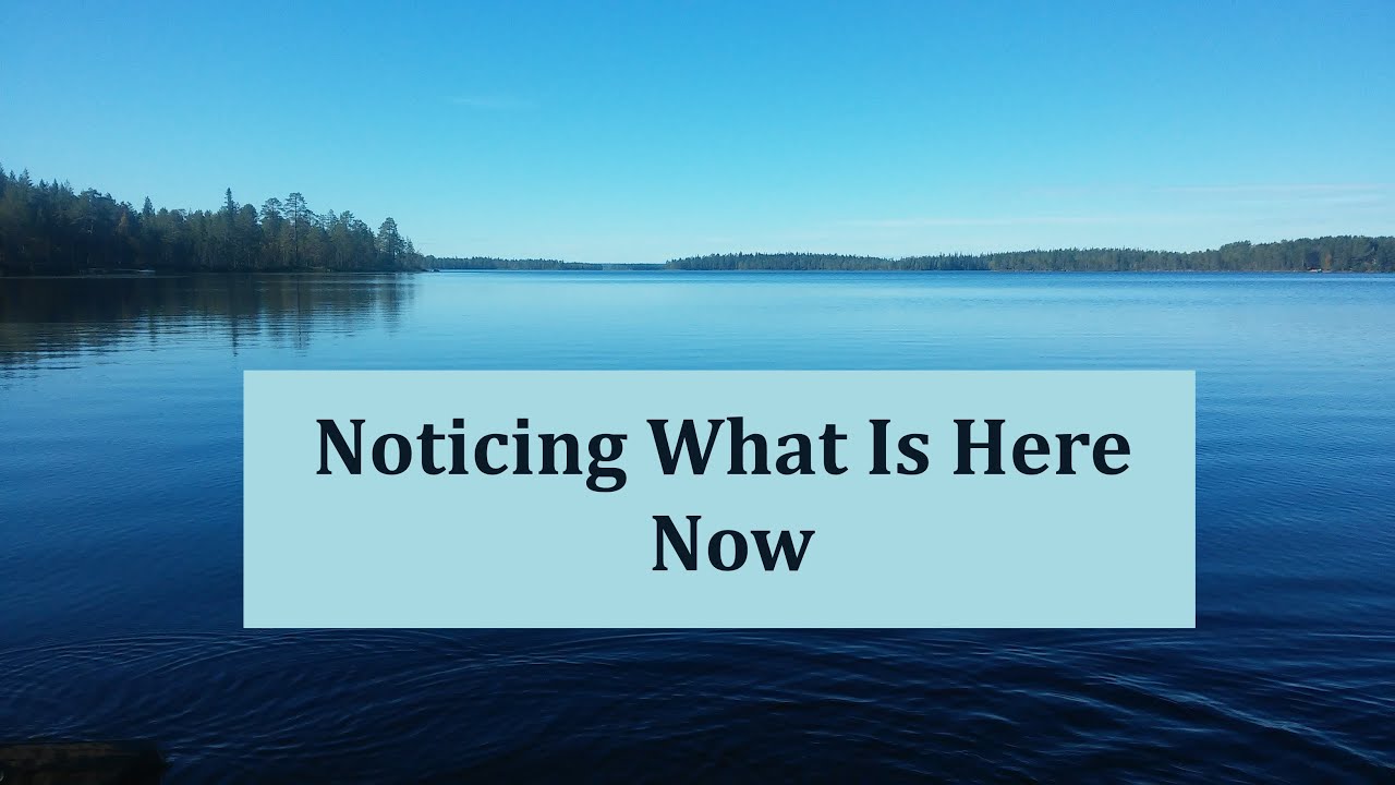 Noticing What Is Here Now - YouTube