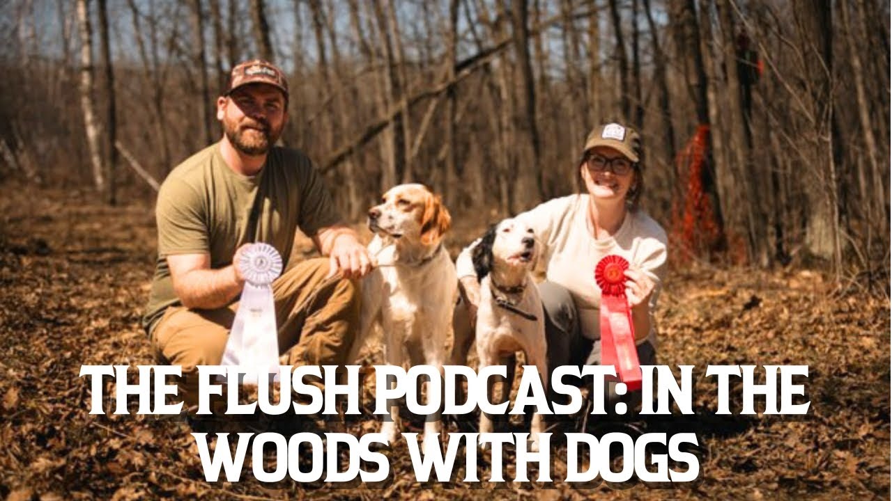 The Flush Podcast: Ep 253 – In The Woods With Dogs - YouTube