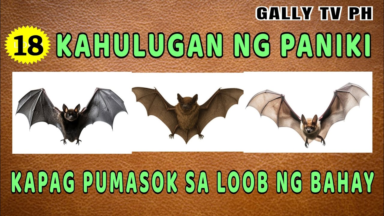 18 kahulugan ng PANIKI kapag pumasok sa loob ng bahay # ...