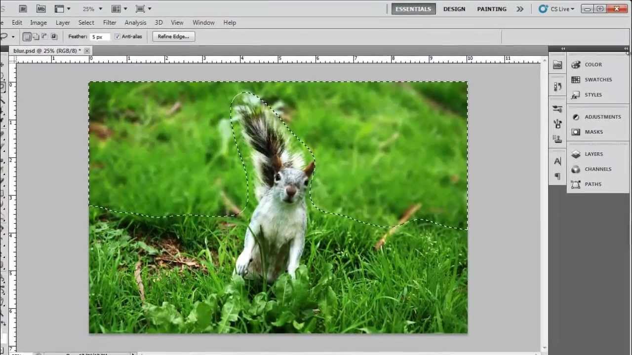 How to Blur Background in Photoshop CS5 - YouTube