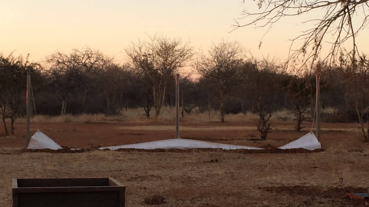 Passive Boma - YouTube