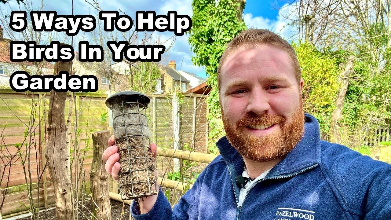 How To Help BIRDS In YOUR GARDEN This SPRING - YouTube