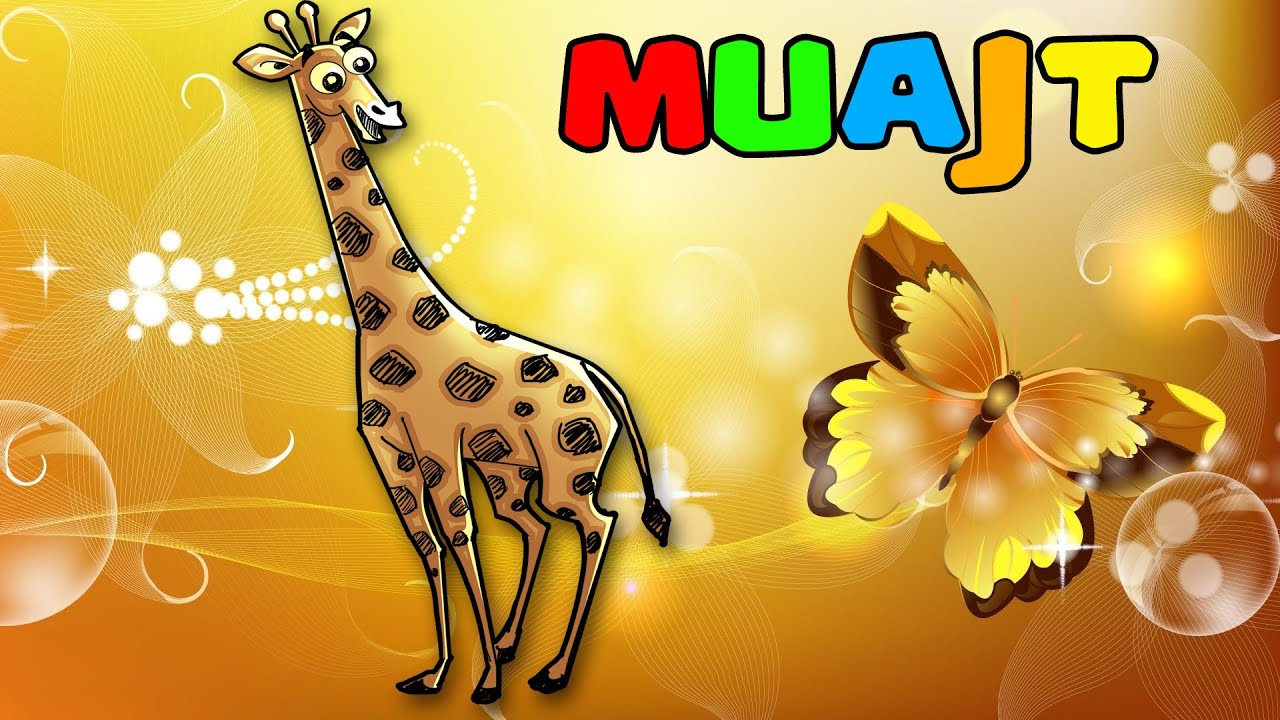 Alfabeti -Muajt Shqip│ Bleta ™ - YouTube