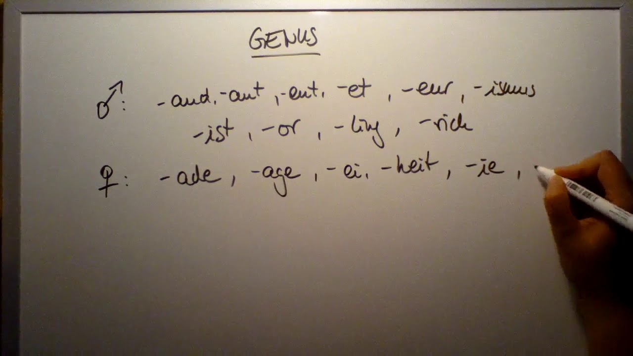 Genus Endungen - YouTube