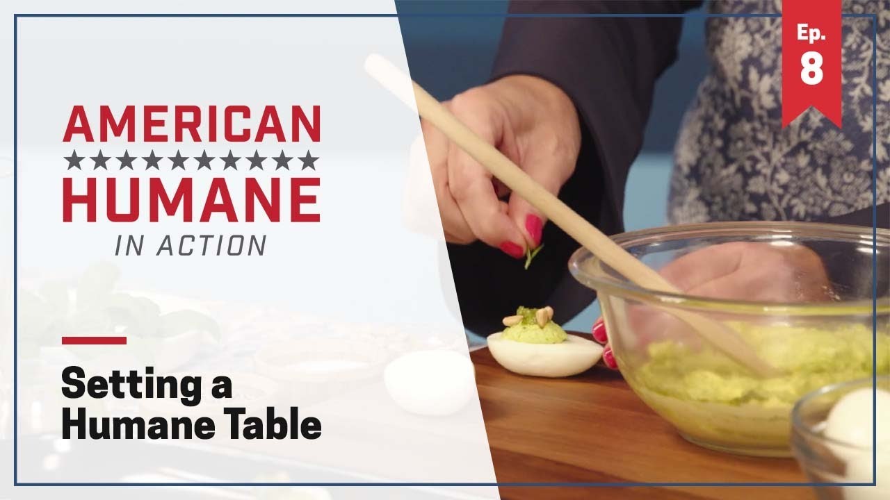 Setting a Humane Table - YouTube