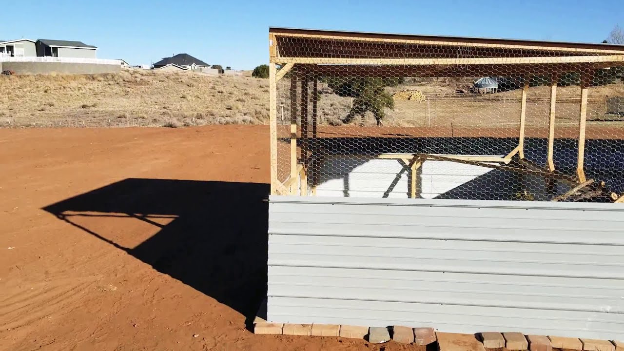 Red Golden Pheasant Aviary - YouTube