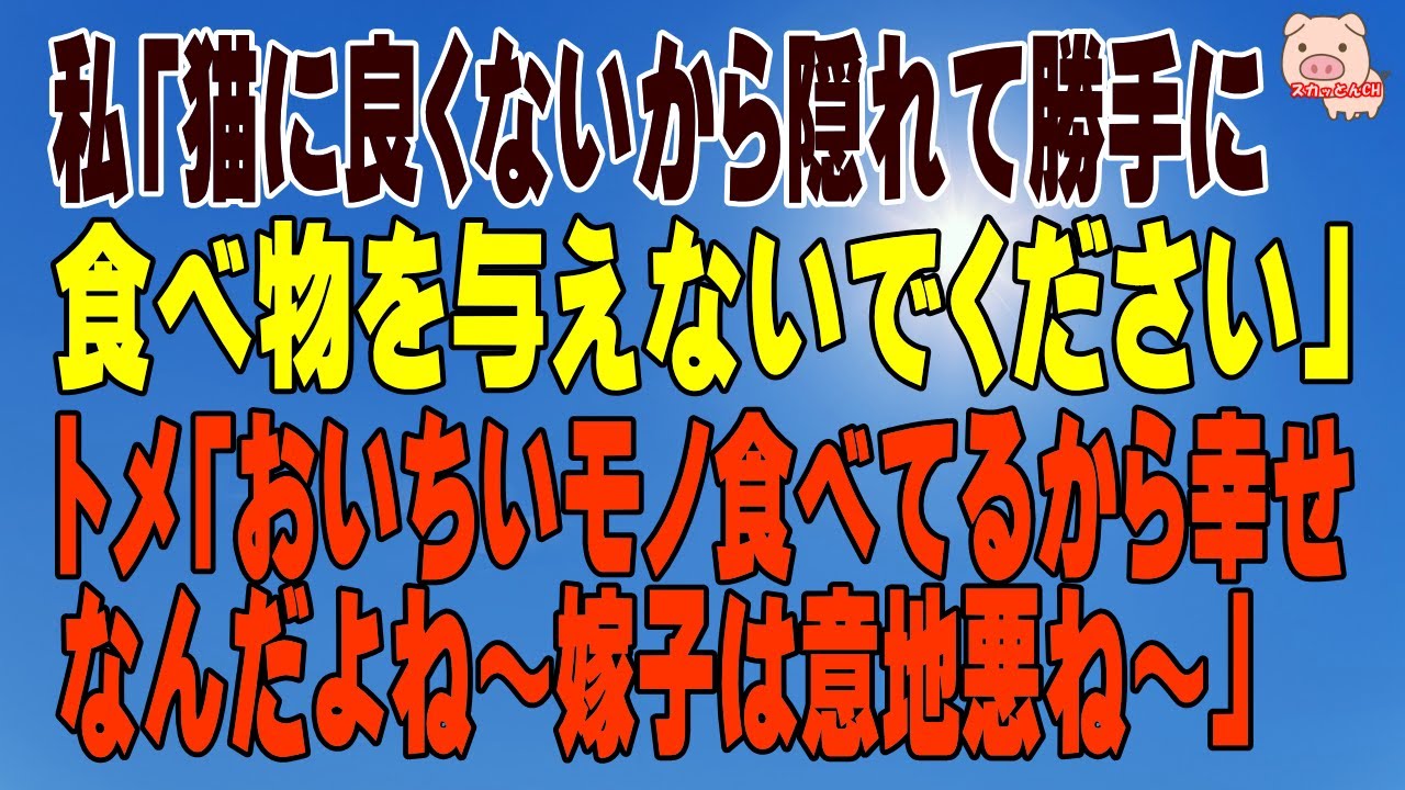 【スカッとする話 Ⅱ】私｢猫に良くないから隠れて勝手に食べ物を与えないでください｣ トメ｢おいちいモノ食べてるから幸せなんだよね～嫁子は意地悪ね～｣（スカッとんCH） - YouTube