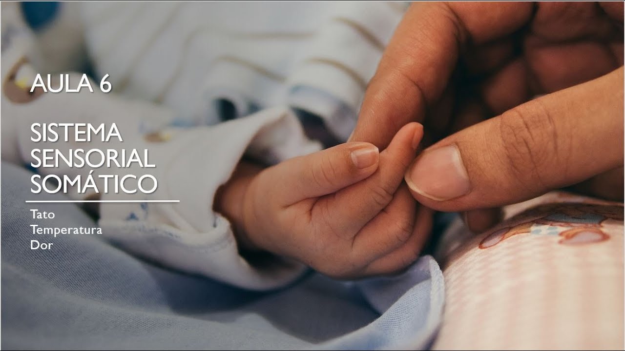 Videoaula 6 Sistema sensorial somático - YouTube