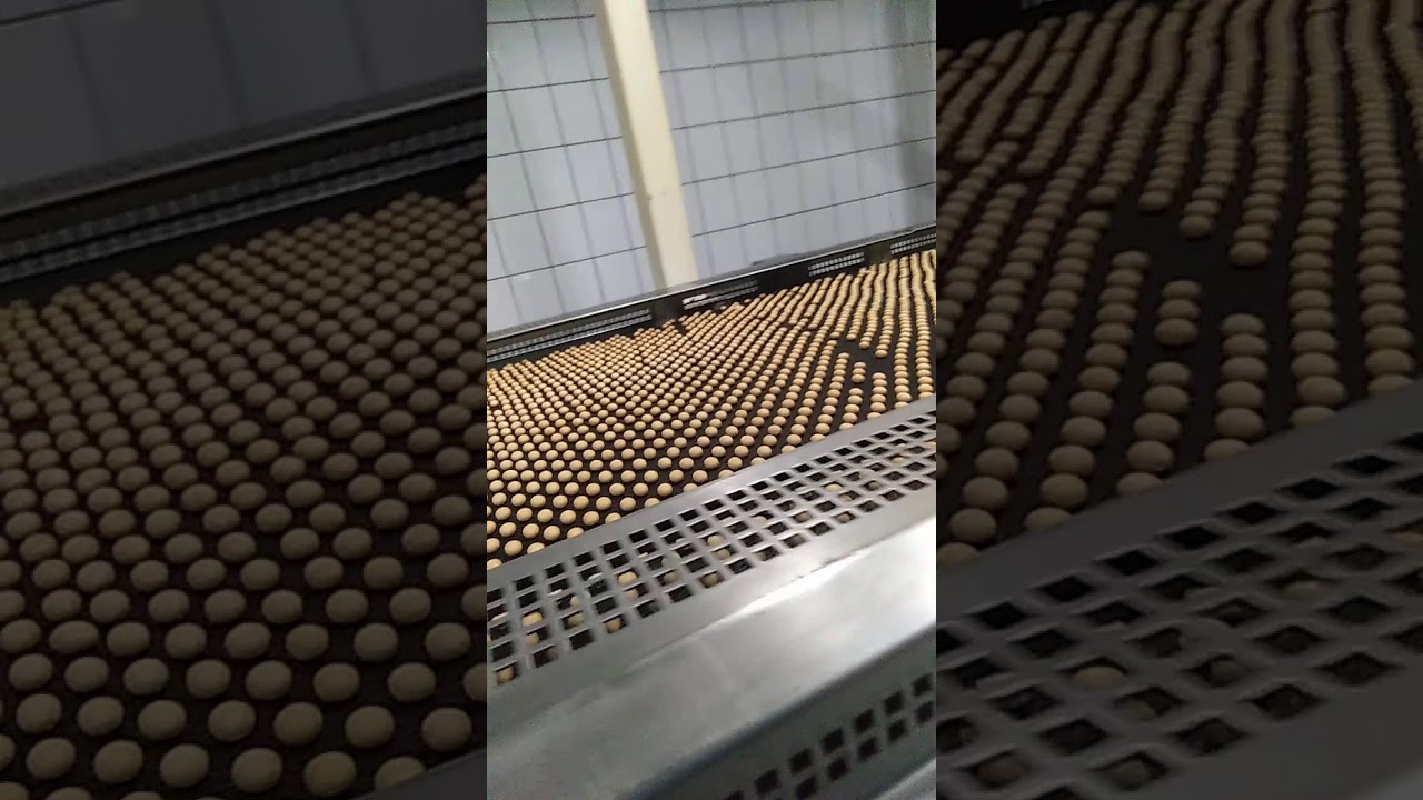 New technology in making biscuits - YouTube