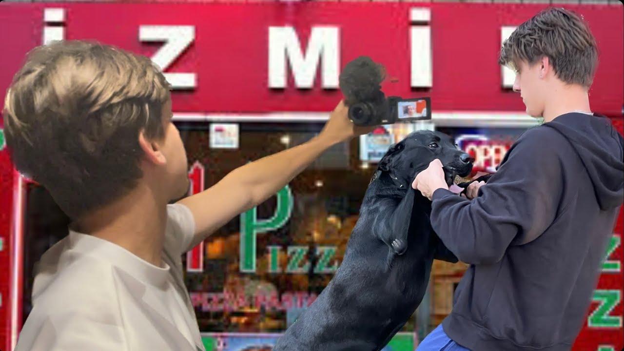 Nieuwe camera?! Bob gaat gek & beste pitta van België! v26 - YouTube