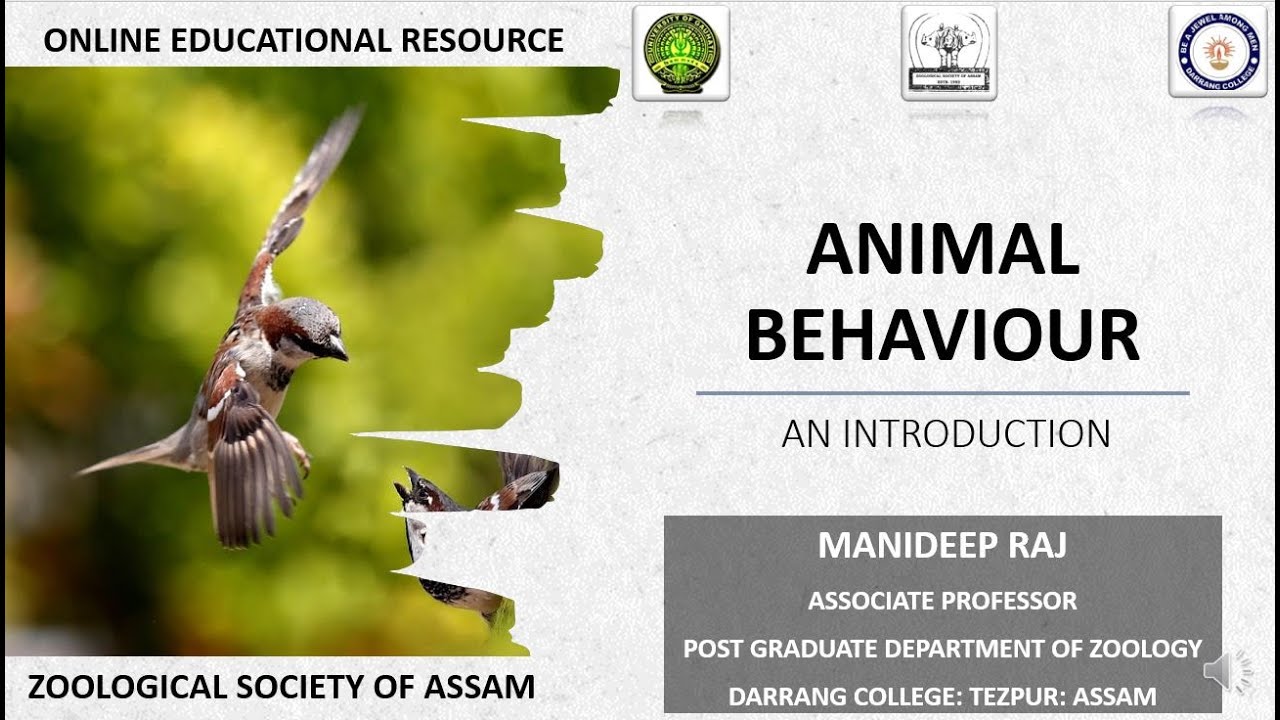 Animal Behaviour: An Introduction - YouTube