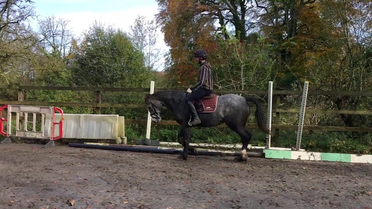Halston Pike Arena October 2020 - YouTube
