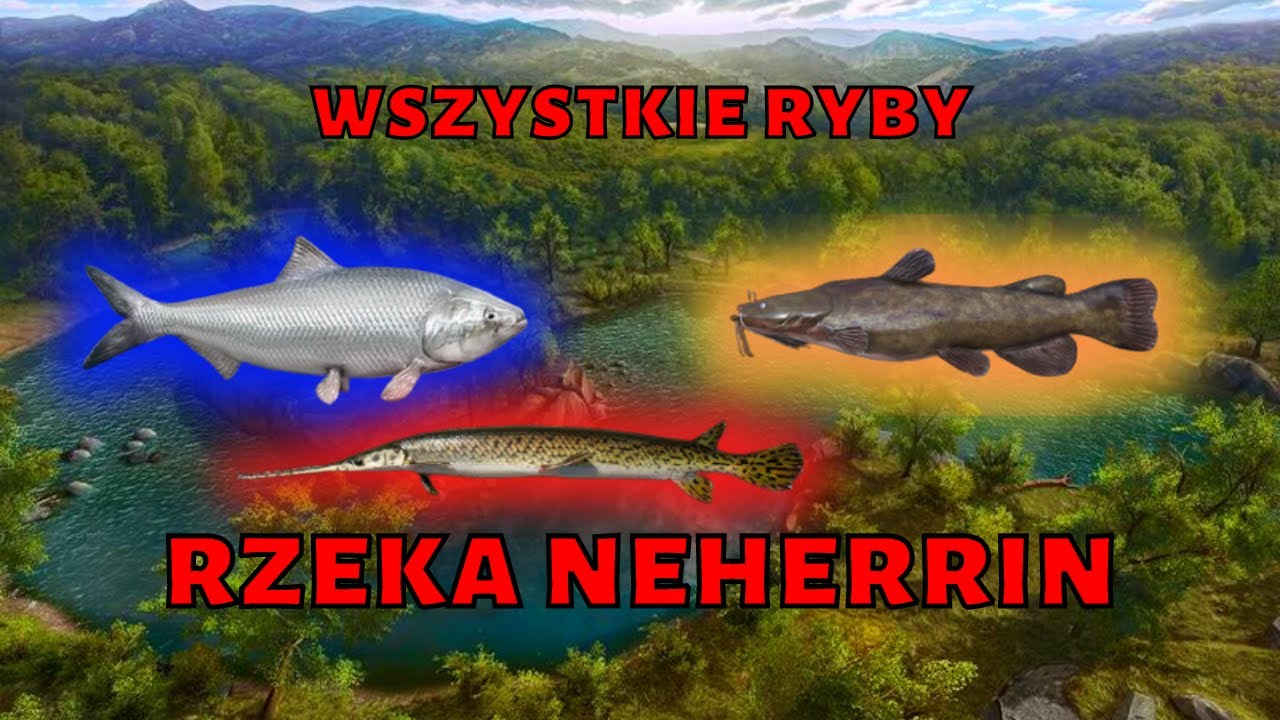 jak złowić wszystkie ryby - rzeka neherrin eksploracja - YouTube