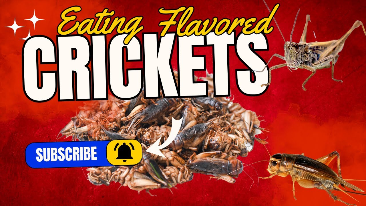 🤢🤮Eating Flavored Crickets 😂🤣(Funny Reaction) - YouTube