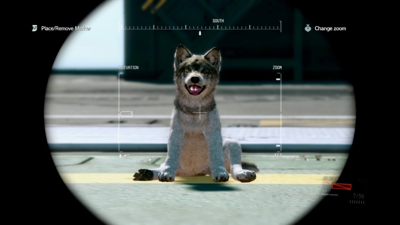 “What the dog doin’?” - YouTube