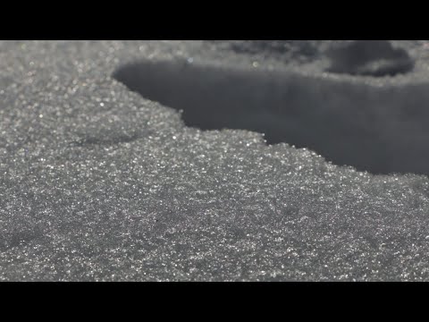 REFLECTION - Short Film