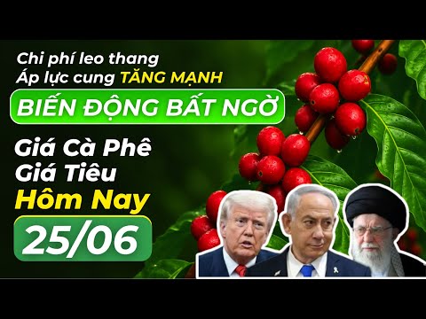 Giá cà phê hôm nay ngày 25/6/2025 | Giá cà phê hôm nay BẤT NGỜ BIẾN ĐỘNG! Áp lực bán TĂNG MẠNH?