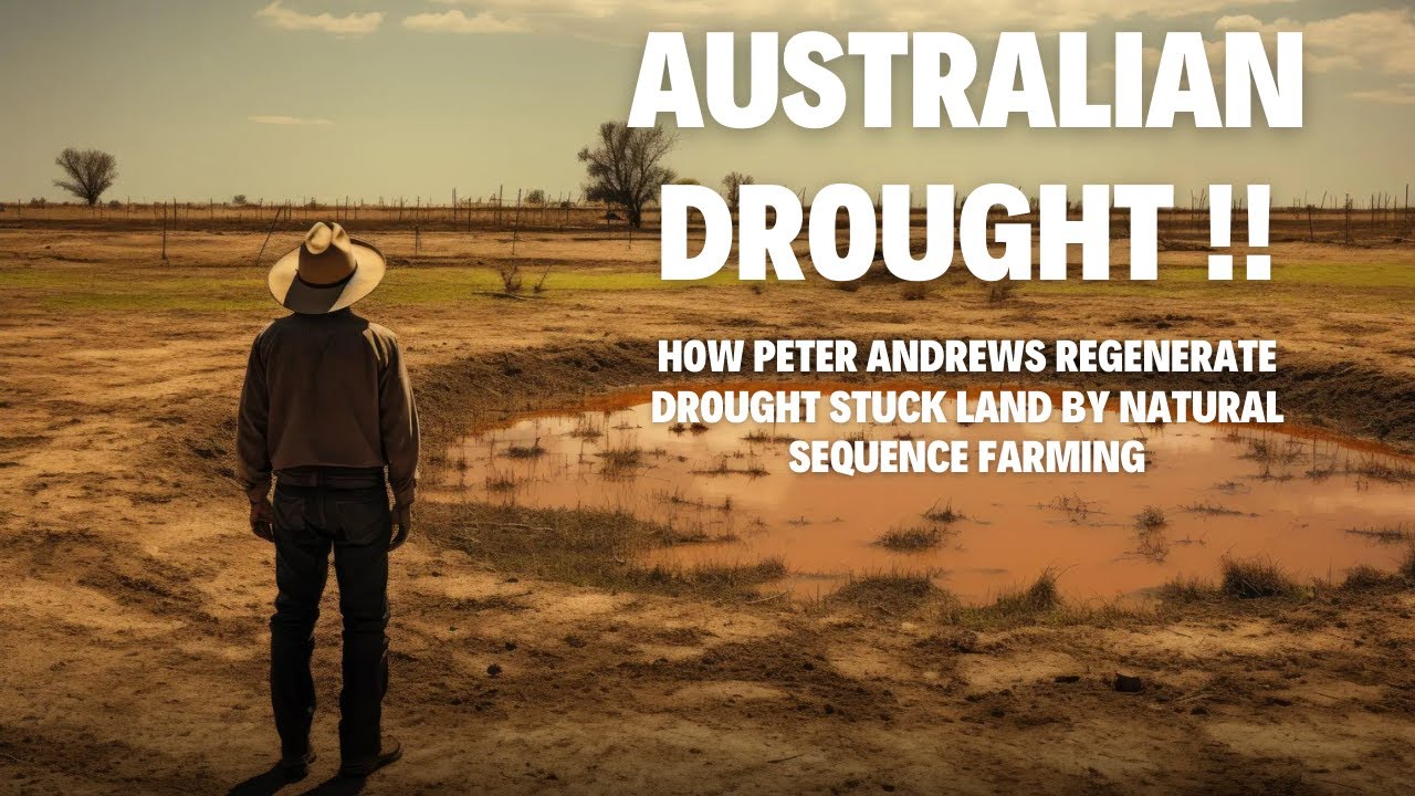 Natural Sequence Farming How Peter Andrews Rejuvenates Drought struck ...