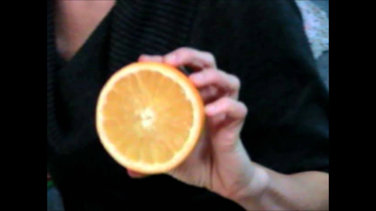 Fibonacci Sequence In Fruit